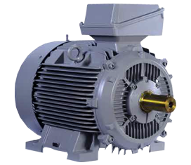 Siemens Electric Motors| Sumit Engineers